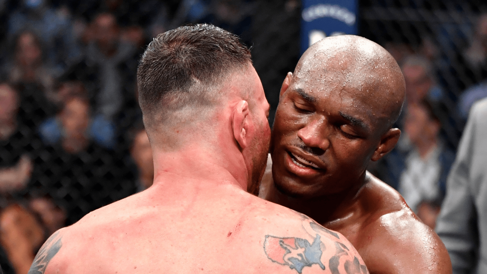 Colby Covington Wallpapers - Top Free Colby Covington Backgrounds ...