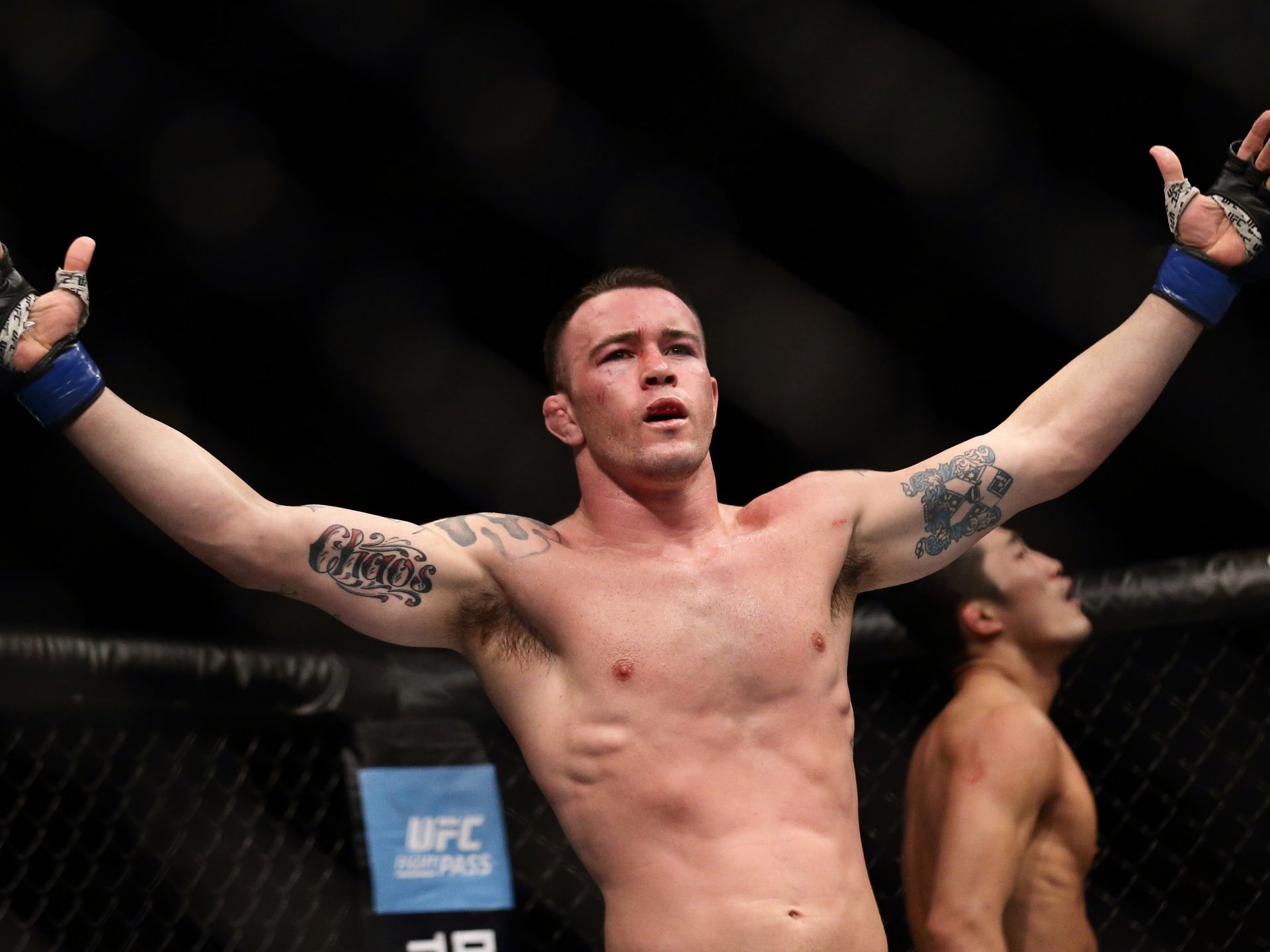Colby Covington Wallpapers - Top Free Colby Covington Backgrounds ...