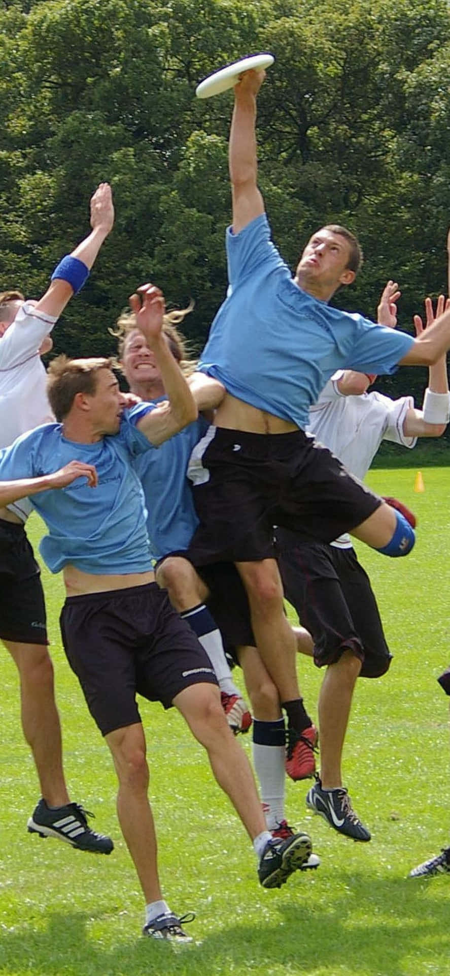 Frisbee Wallpapers - Top Free Frisbee Backgrounds - WallpaperAccess