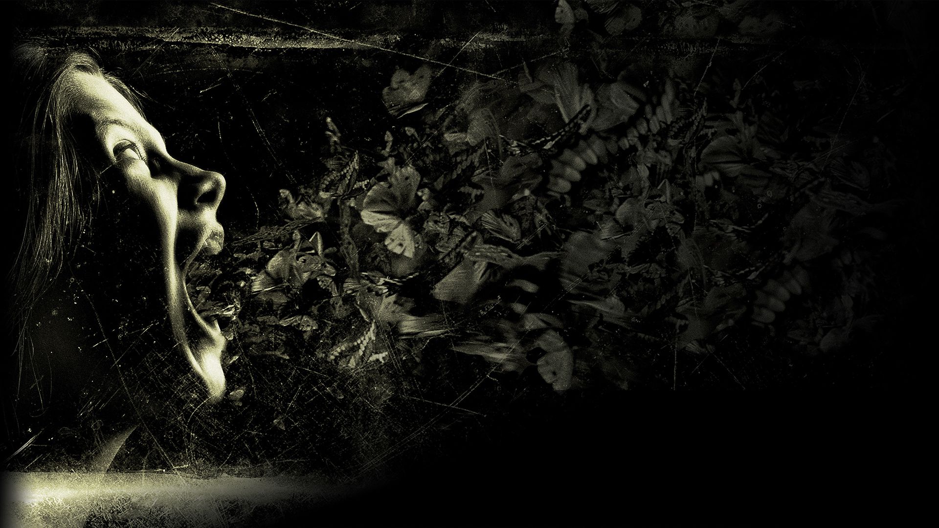 Possession Wallpapers - Top Free Possession Backgrounds - WallpaperAccess