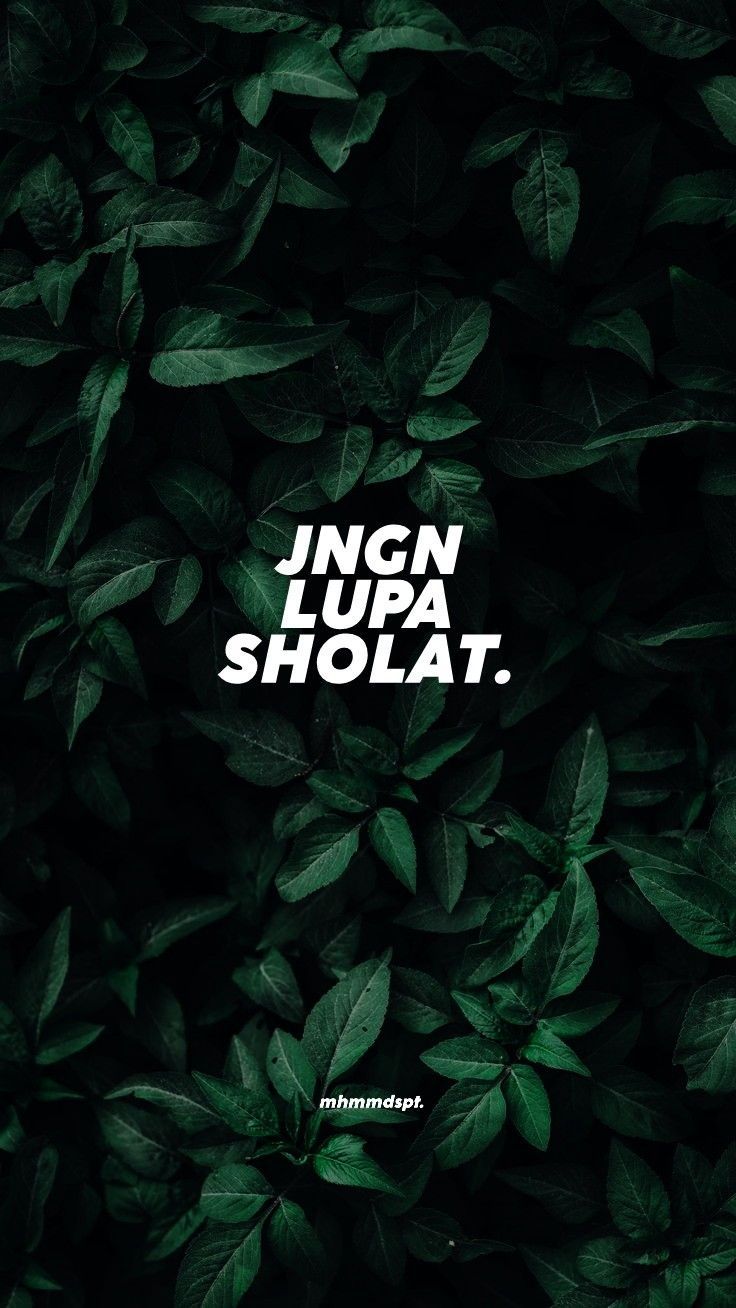 Sholat Wallpapers - Top Free Sholat Backgrounds - WallpaperAccess