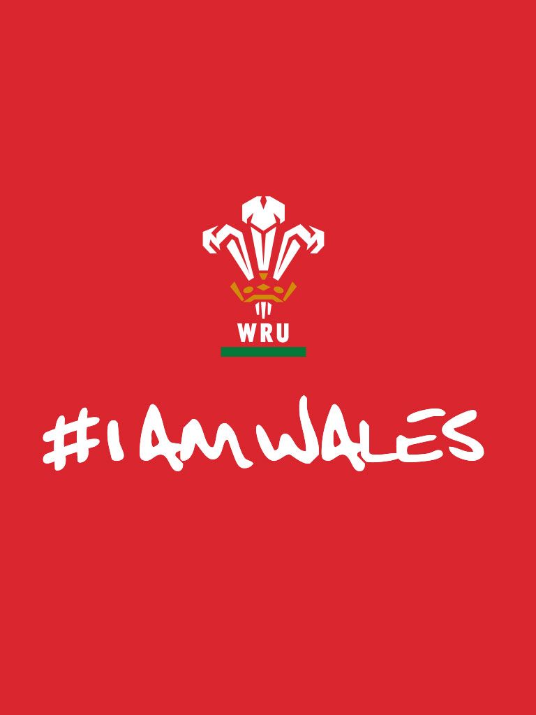 Wales Rugby Wallpapers - Top Free Wales Rugby Backgrounds - WallpaperAccess