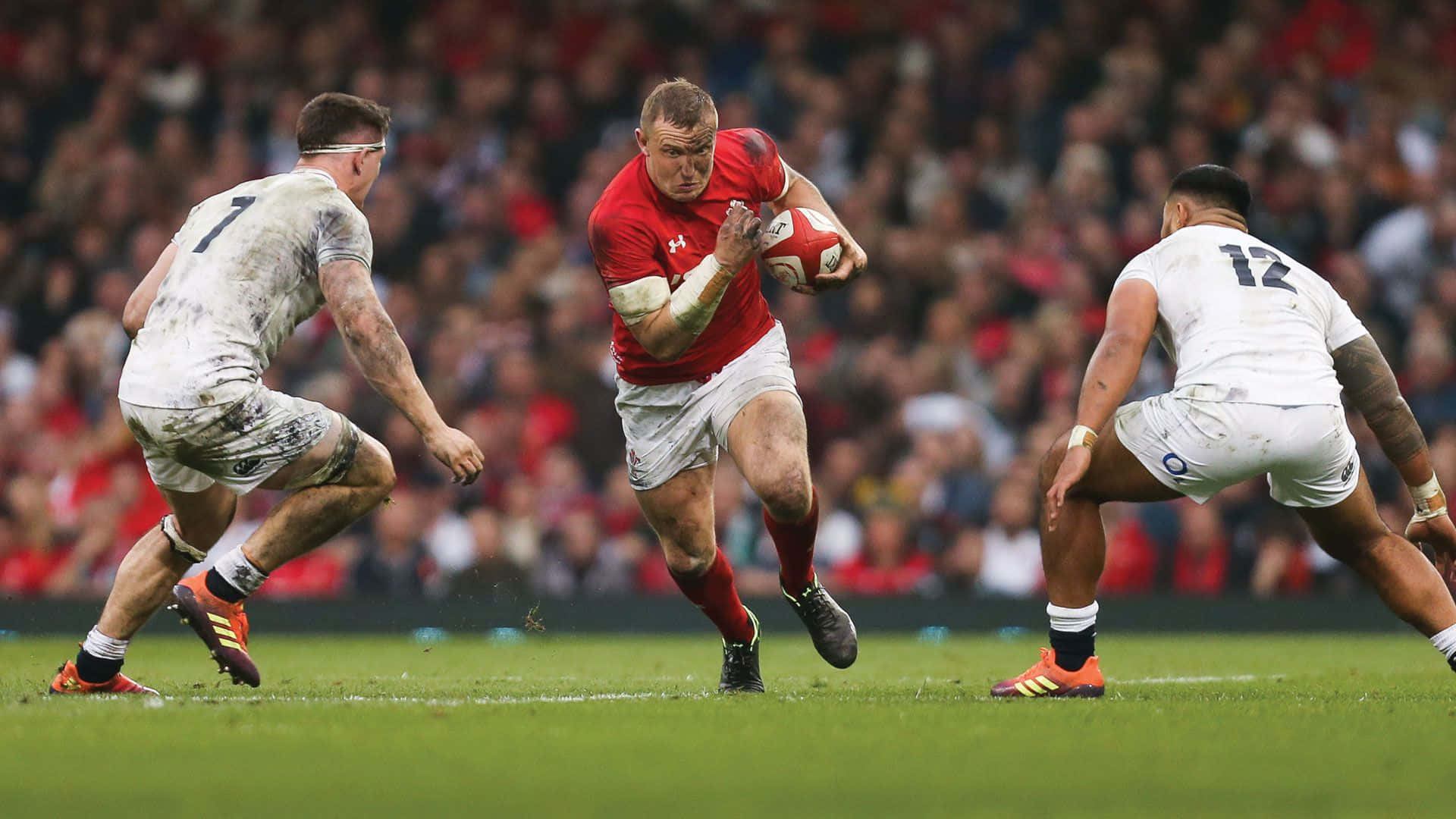 Wales Rugby Wallpapers - Top Free Wales Rugby Backgrounds - WallpaperAccess