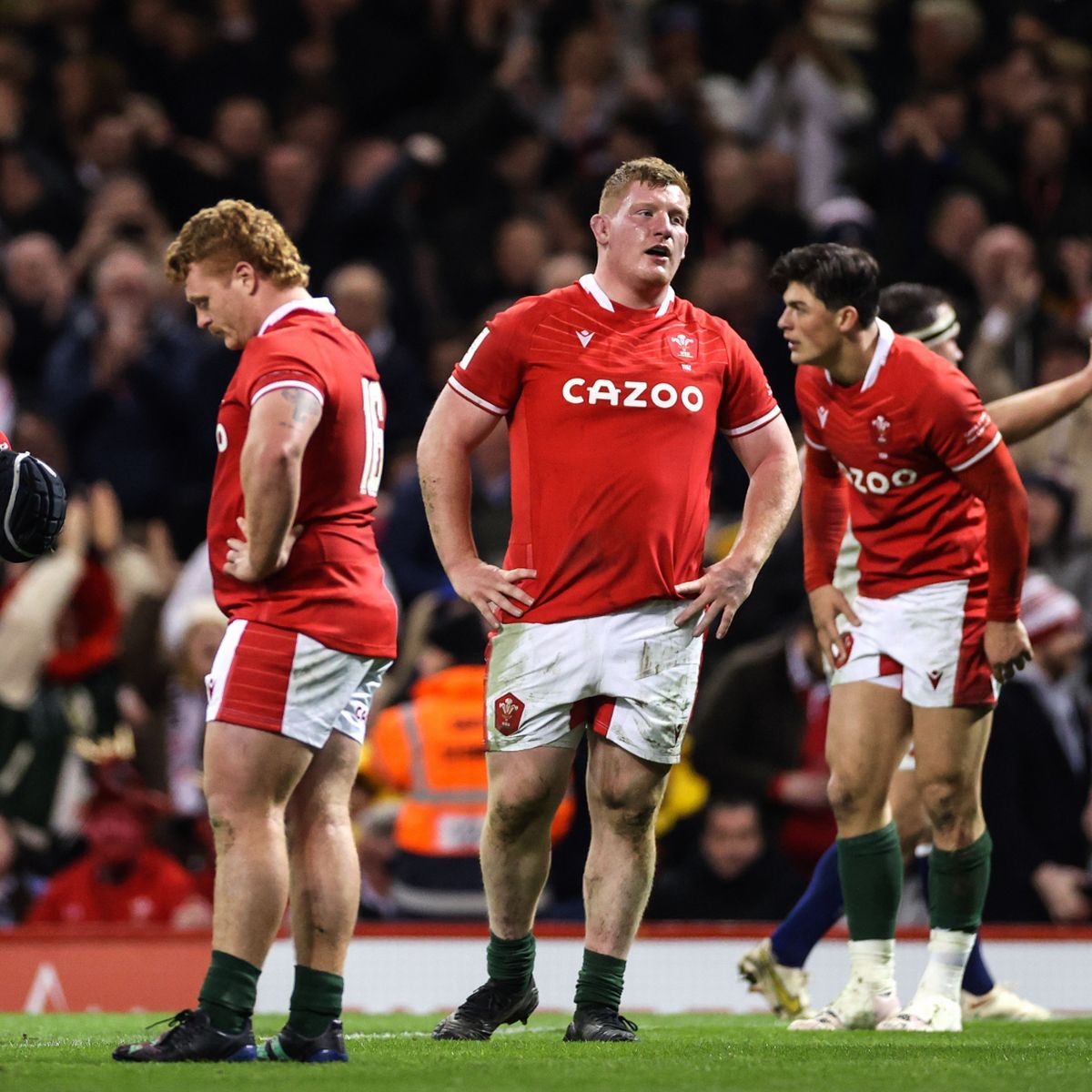 Wales Rugby Wallpapers - Top Free Wales Rugby Backgrounds - WallpaperAccess