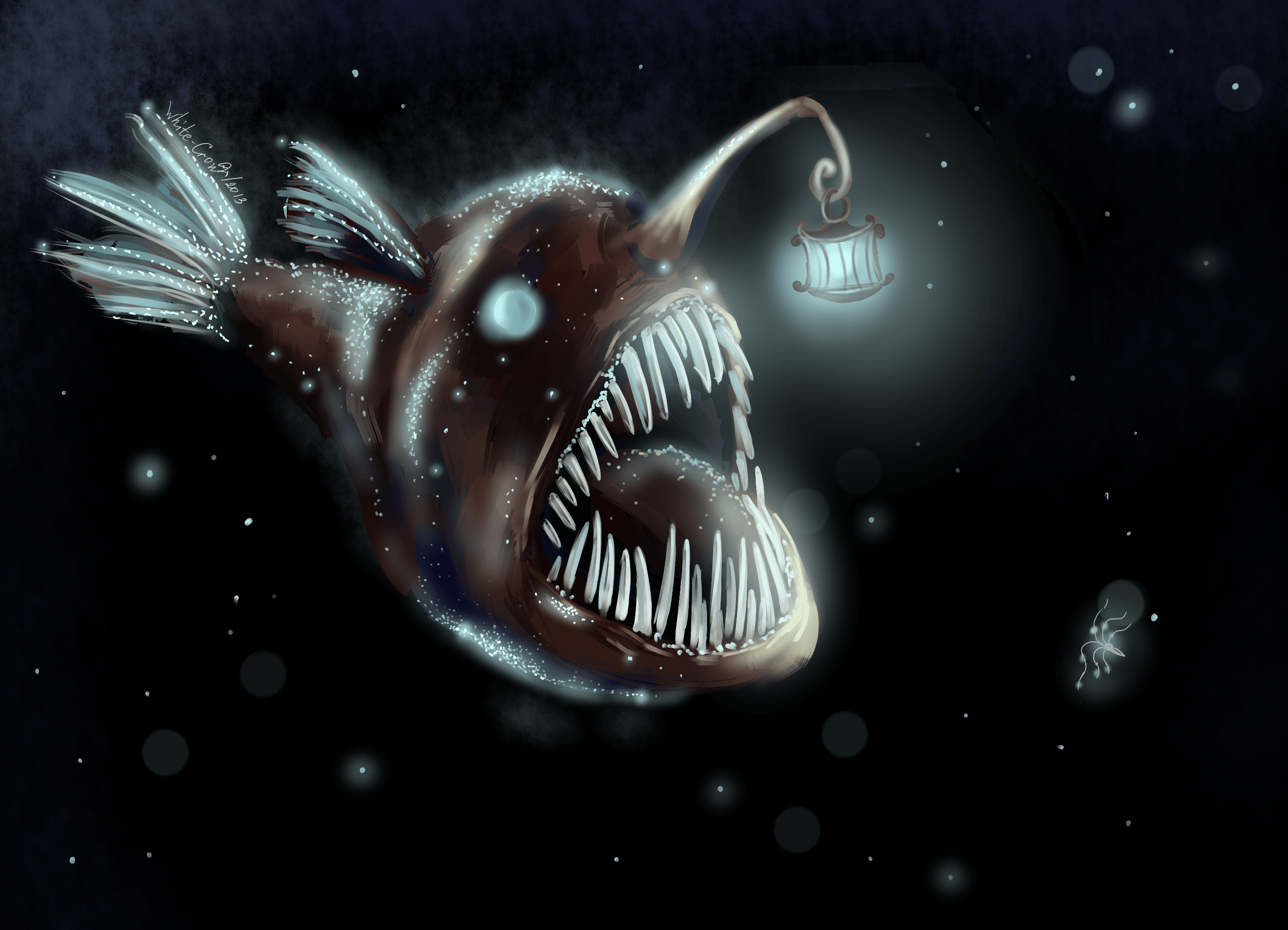 Anglerfish Wallpapers - Top Free Anglerfish Backgrounds - WallpaperAccess