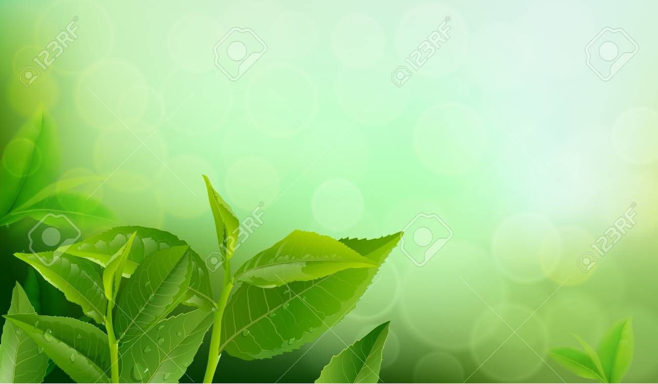 Tea Leaf Wallpapers - Top Free Tea Leaf Backgrounds - WallpaperAccess