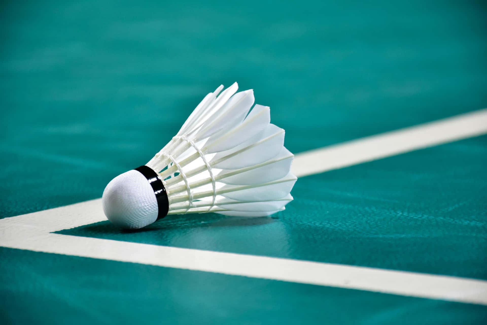 Badminton Court Wallpapers - Top Free Badminton Court Backgrounds ...