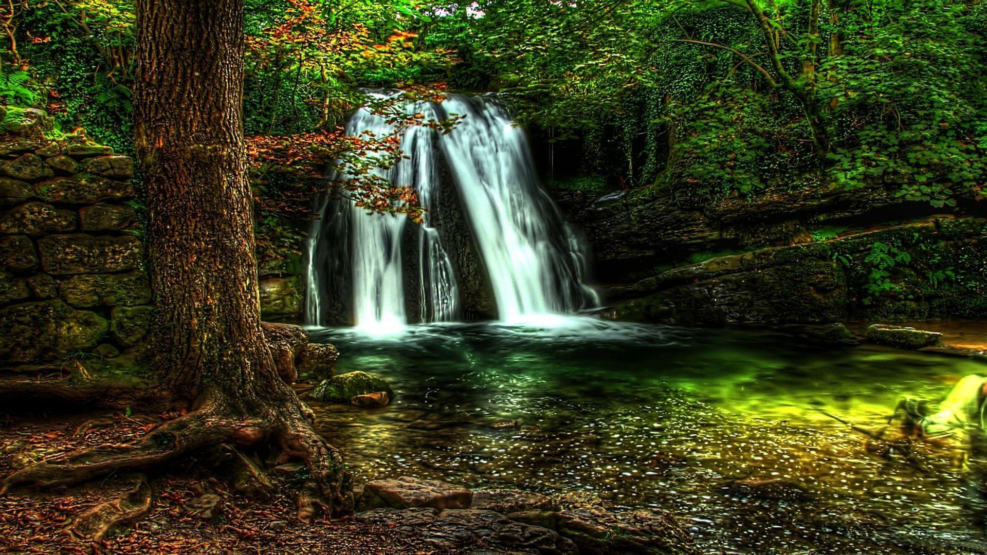 Forest Waterfall Wallpapers - Top Free Forest Waterfall Backgrounds ...