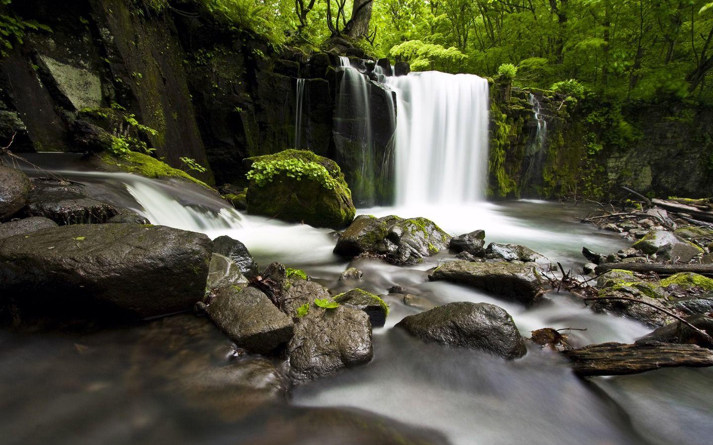 Forest Waterfall Wallpapers - Top Free Forest Waterfall Backgrounds ...