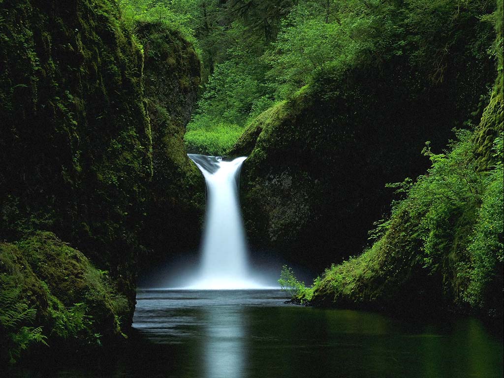 Forest Waterfall Wallpapers - Top Free Forest Waterfall Backgrounds ...