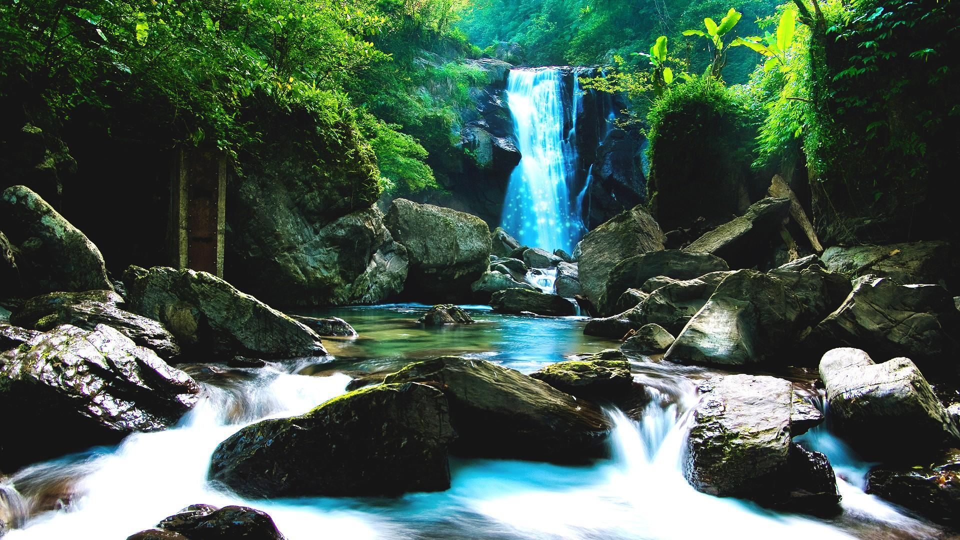 Forest Waterfall Wallpapers - Top Free Forest Waterfall Backgrounds ...