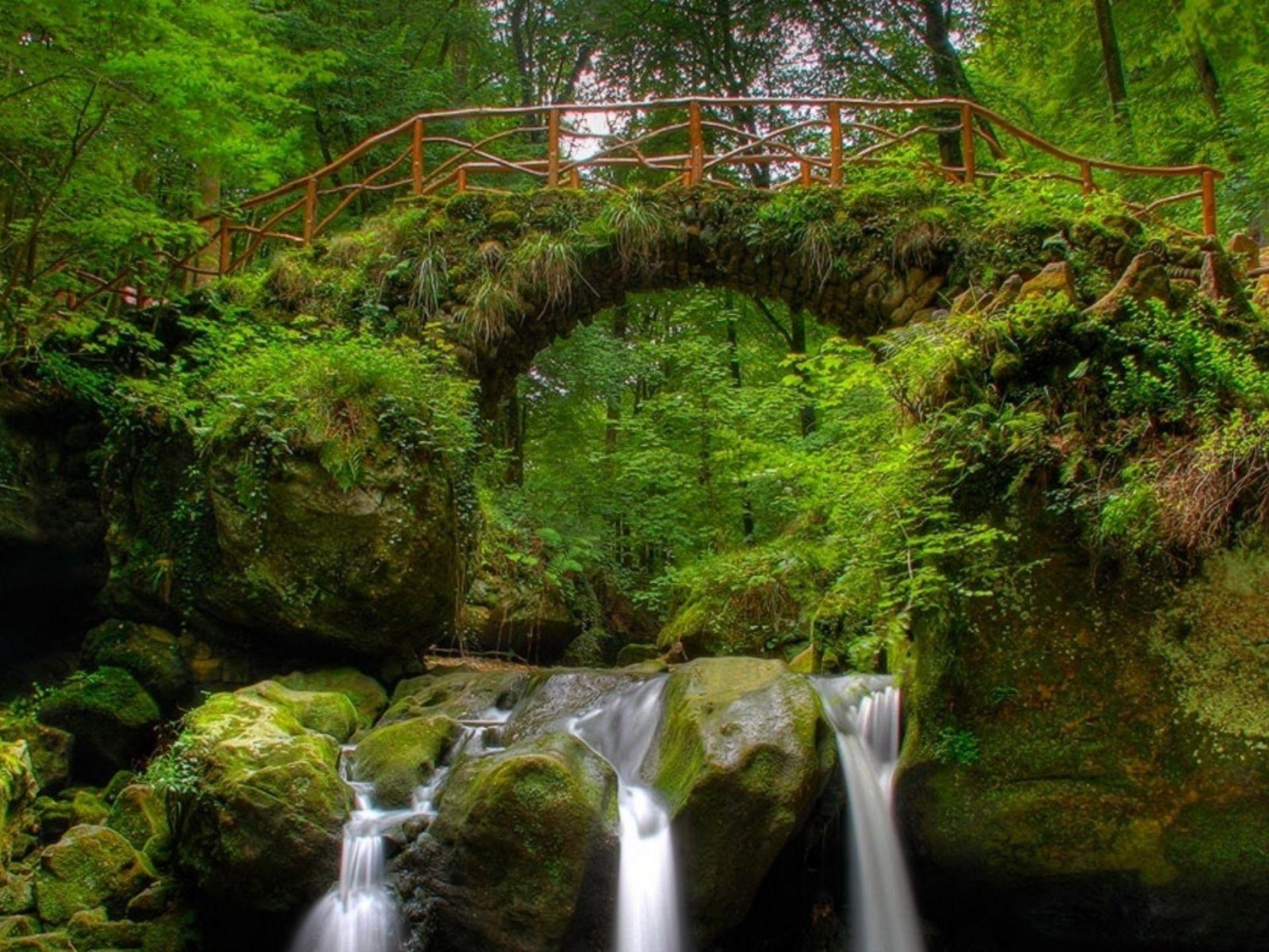 Forest Waterfall Wallpapers - Top Free Forest Waterfall Backgrounds ...