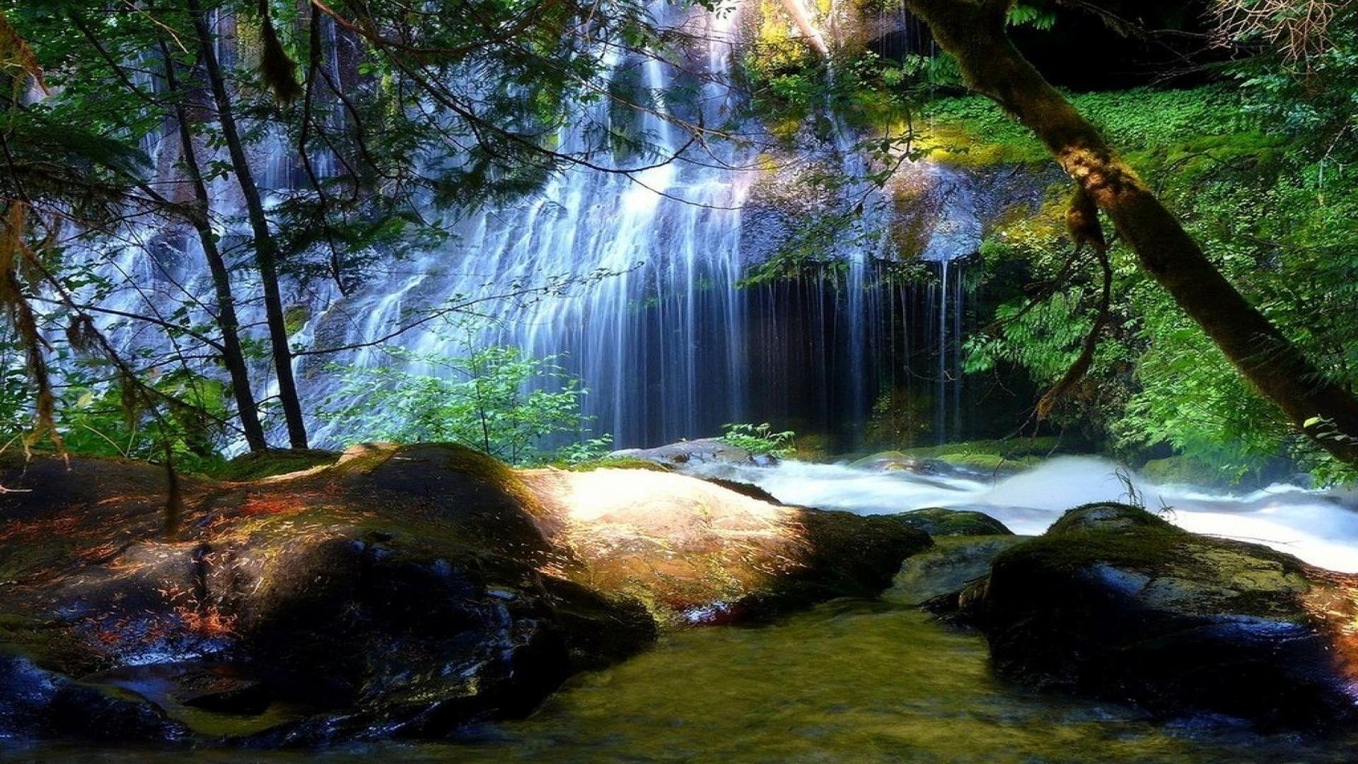 Forest Waterfall Wallpapers - Top Free Forest Waterfall Backgrounds ...