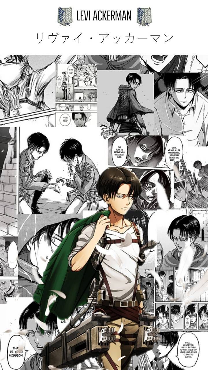 Levi Manga Wallpapers - Top Free Levi Manga Backgrounds - WallpaperAccess