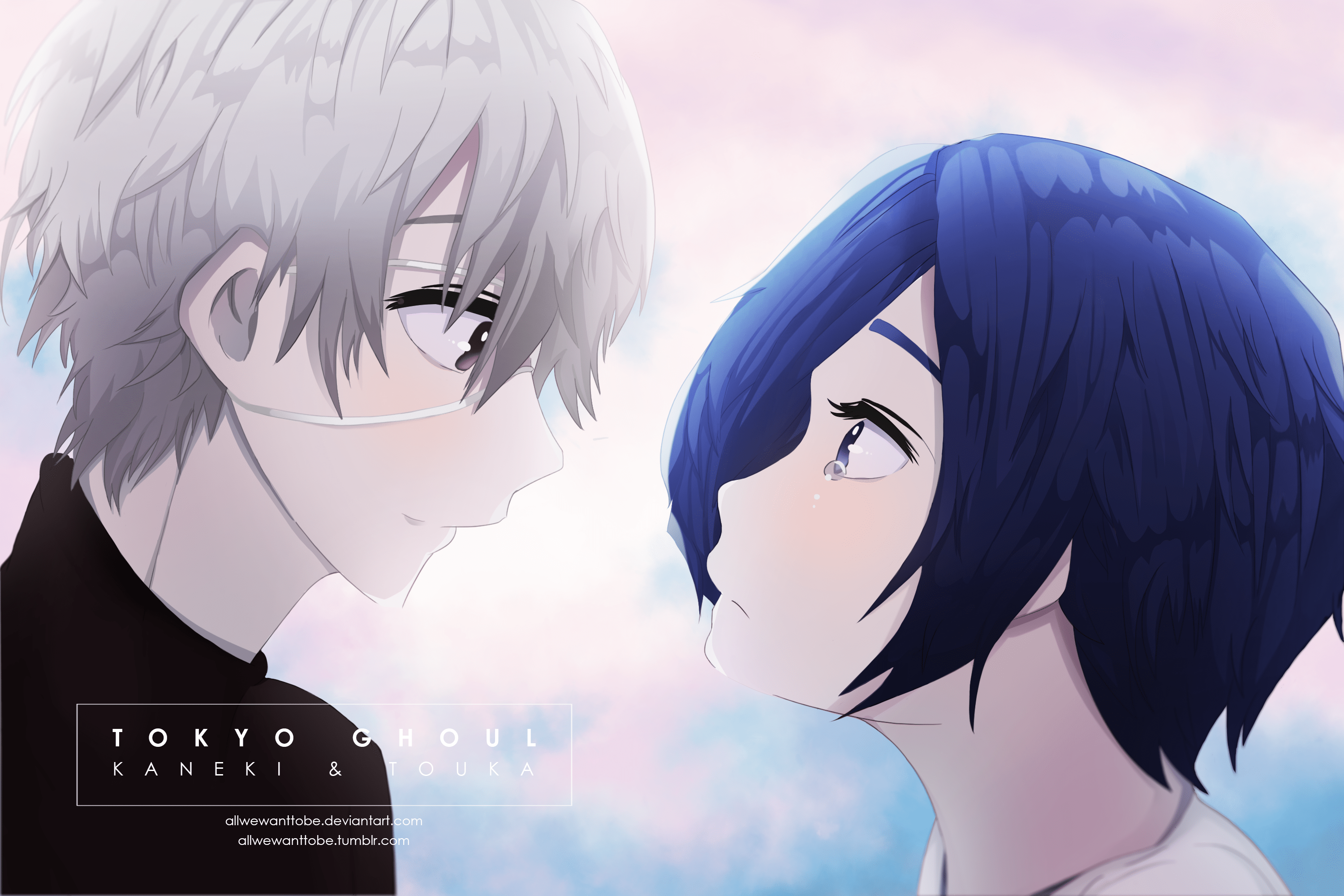 Touka Chan Wallpapers - Top Free Touka Chan Backgrounds - WallpaperAccess