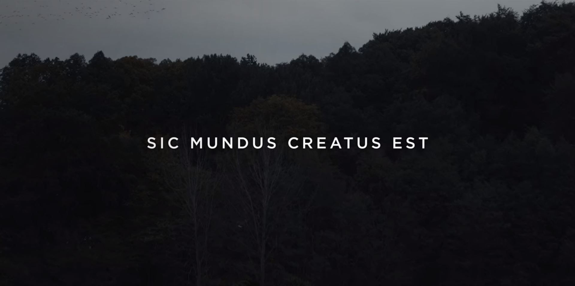 Sic Mundus Creatus Est Wallpapers - Top Free Sic Mundus Creatus Est Backgrounds - WallpaperAccess