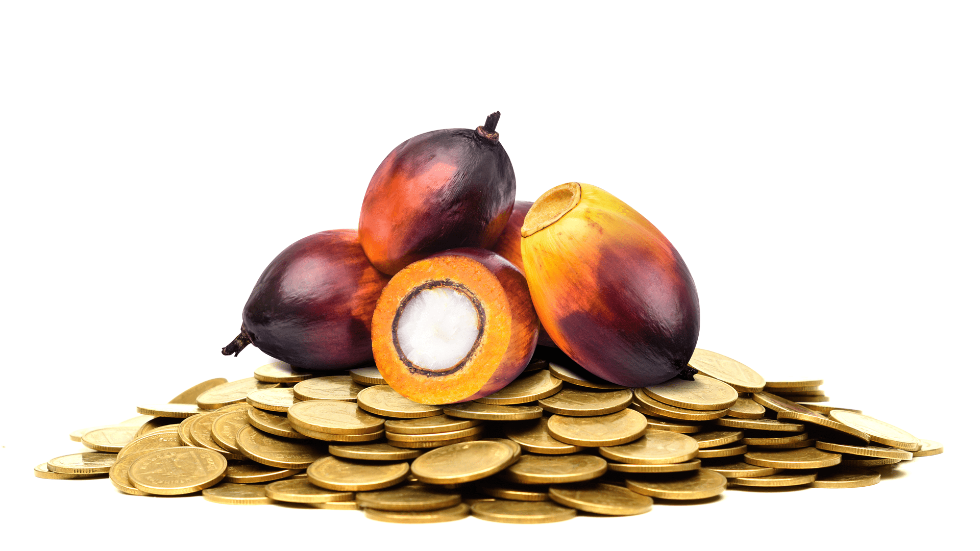 Palm Oil Wallpapers - Top Free Palm Oil Backgrounds - WallpaperAccess