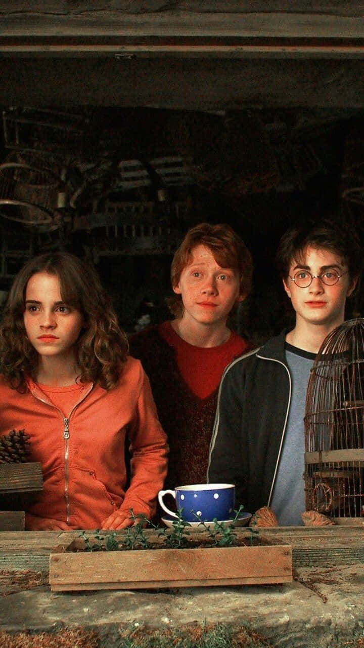 The Golden Trio Wallpapers - Top Free The Golden Trio Backgrounds ...