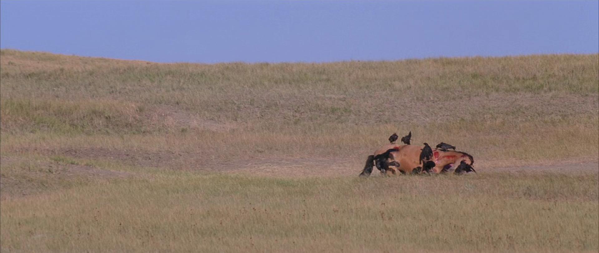 Dances With Wolves Wallpapers - Top Free Dances With Wolves Backgrounds ...