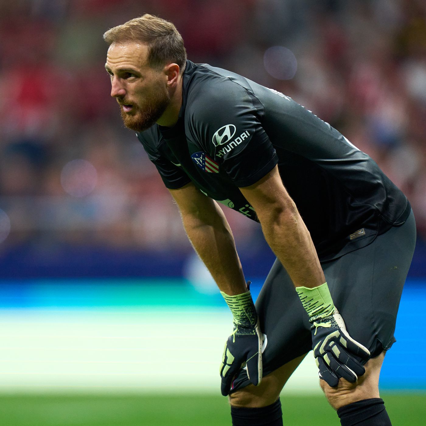 Jan Oblak Wallpapers - Top Free Jan Oblak Backgrounds - WallpaperAccess