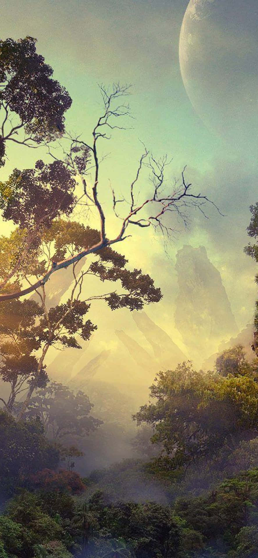 Forest Mobile Wallpapers - Top Free Forest Mobile Backgrounds ...