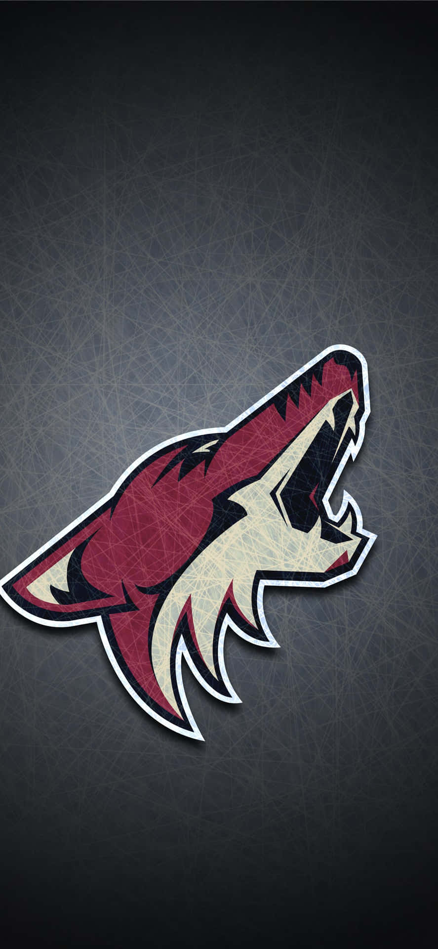Arizona Coyotes Wallpapers - Top Free Arizona Coyotes Backgrounds ...