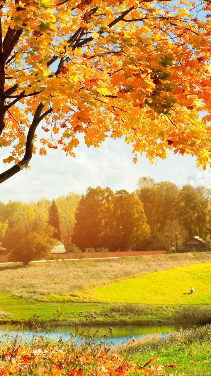 Mobile Full Screen Wallpapers - Top Free Mobile Full Screen Backgrounds ...