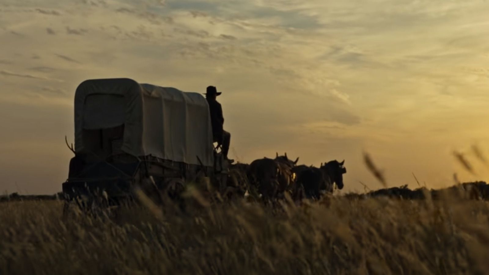 1883 Wallpapers - Top Free 1883 Backgrounds - WallpaperAccess