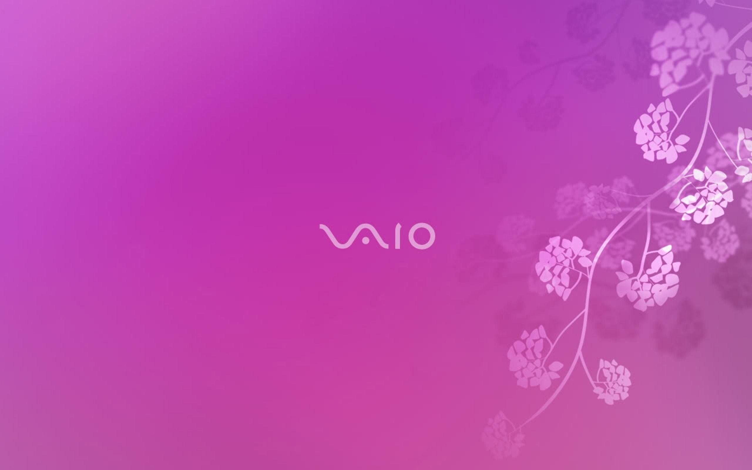 Sony Vaio Wallpapers - Top Free Sony Vaio Backgrounds - WallpaperAccess