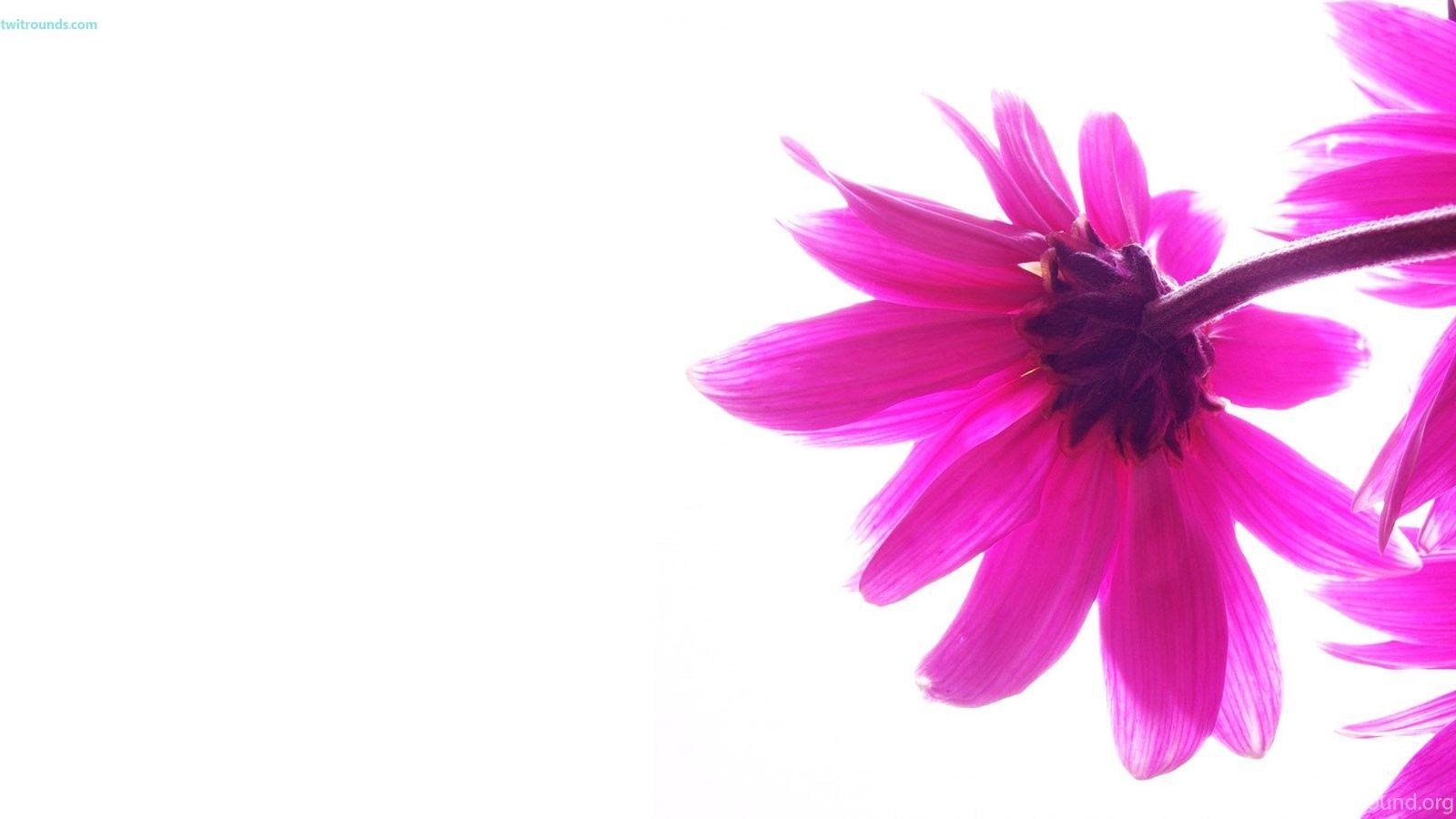 Girly Abstract Wallpapers - Top Free Girly Abstract Backgrounds ...