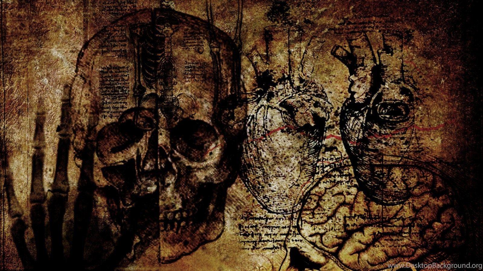 Medical Computer Wallpapers - Top Free Medical Computer Backgrounds ...