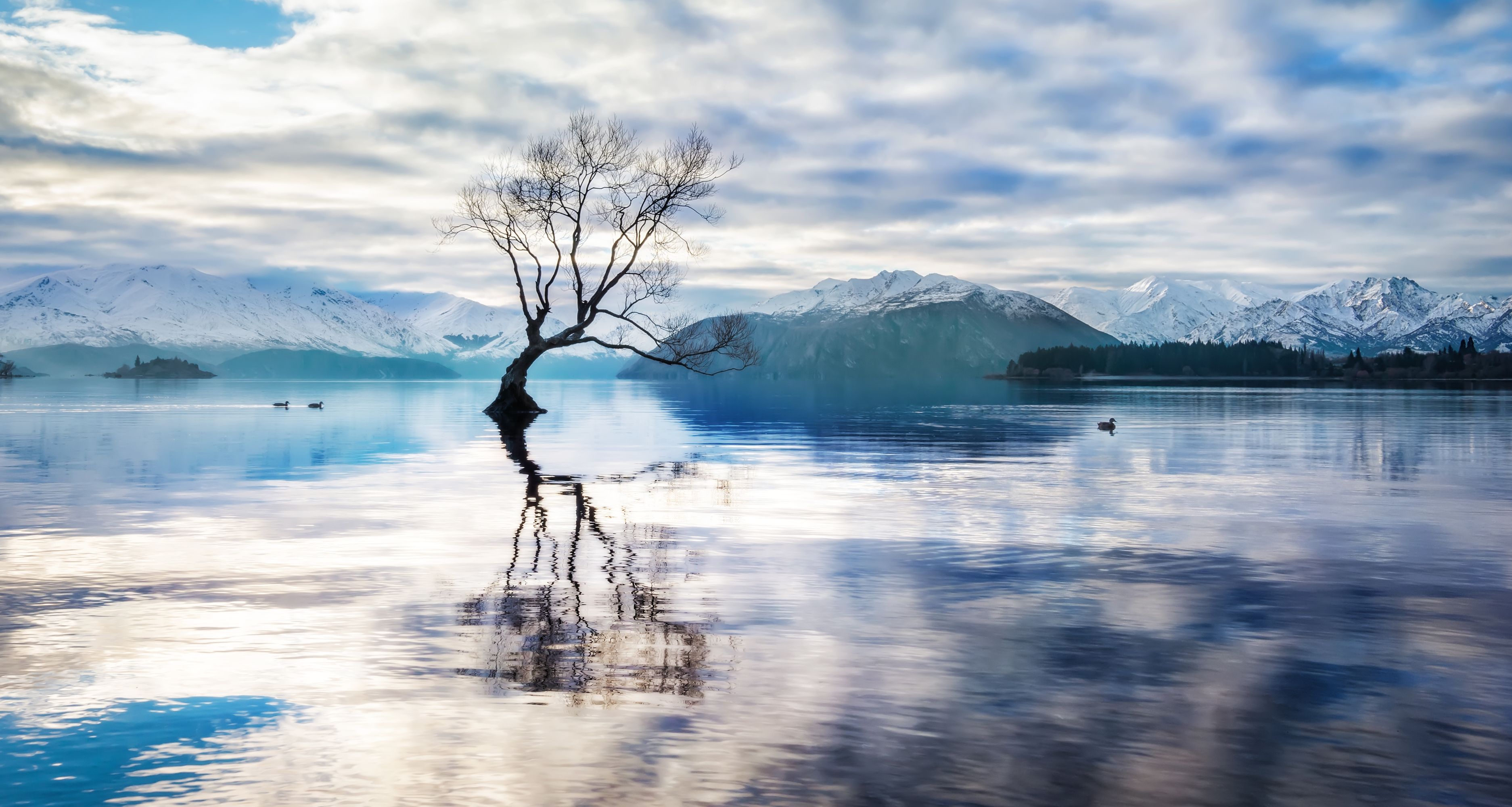 Wanaka Wallpapers - Top Free Wanaka Backgrounds - WallpaperAccess