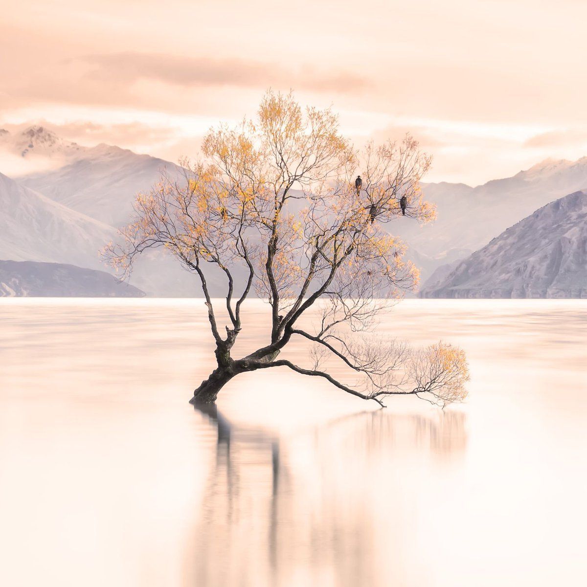 Wanaka Wallpapers - Top Free Wanaka Backgrounds - WallpaperAccess