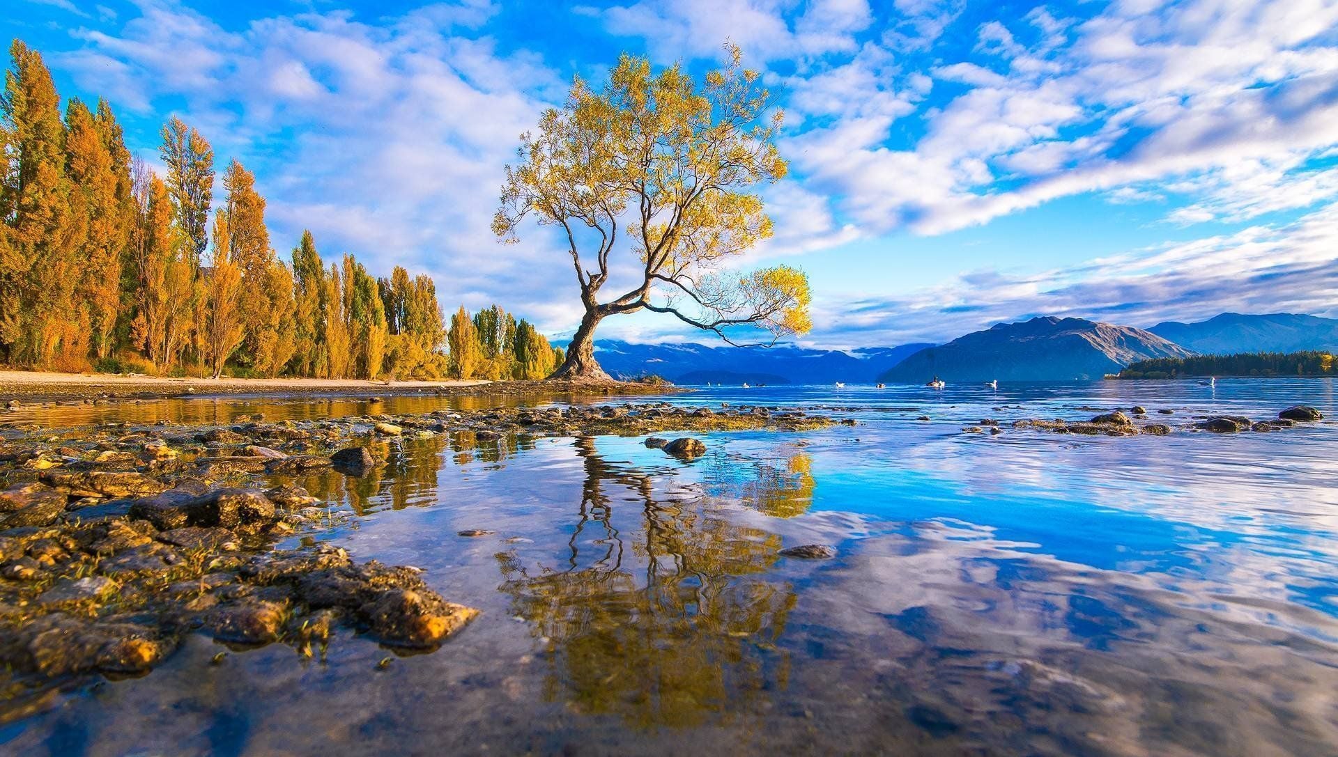 Wanaka Wallpapers - Top Free Wanaka Backgrounds - WallpaperAccess