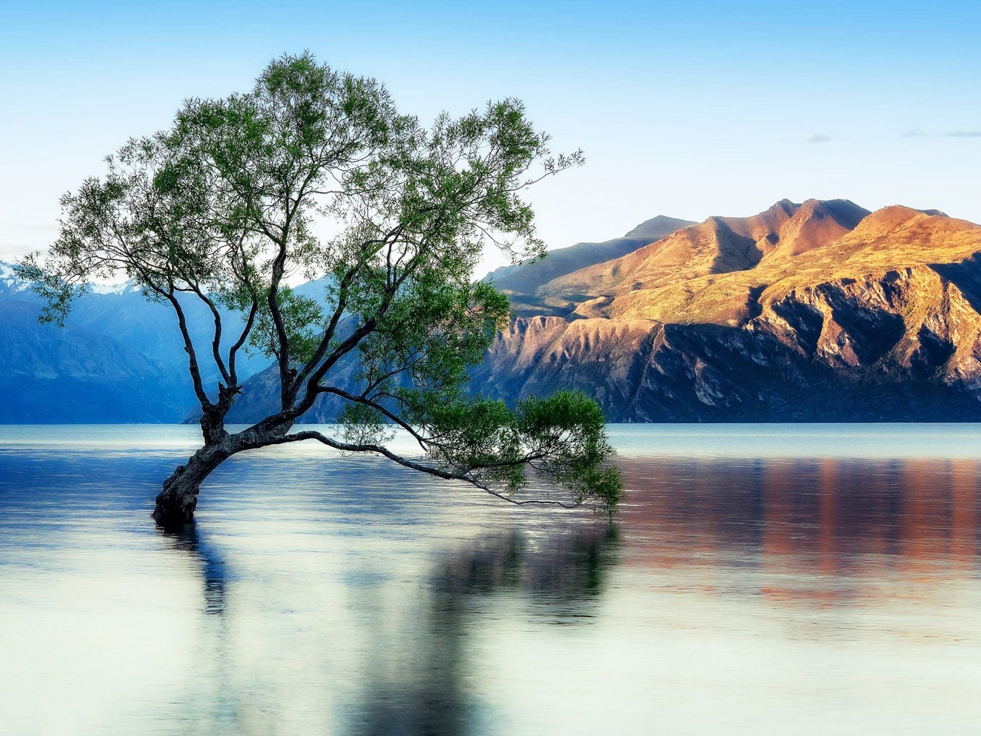 Wanaka Wallpapers - Top Free Wanaka Backgrounds - WallpaperAccess