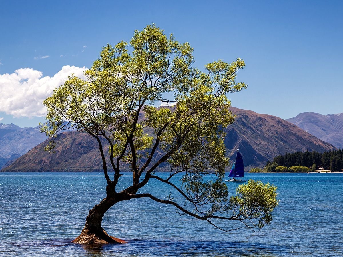 Wanaka Wallpapers - Top Free Wanaka Backgrounds - WallpaperAccess