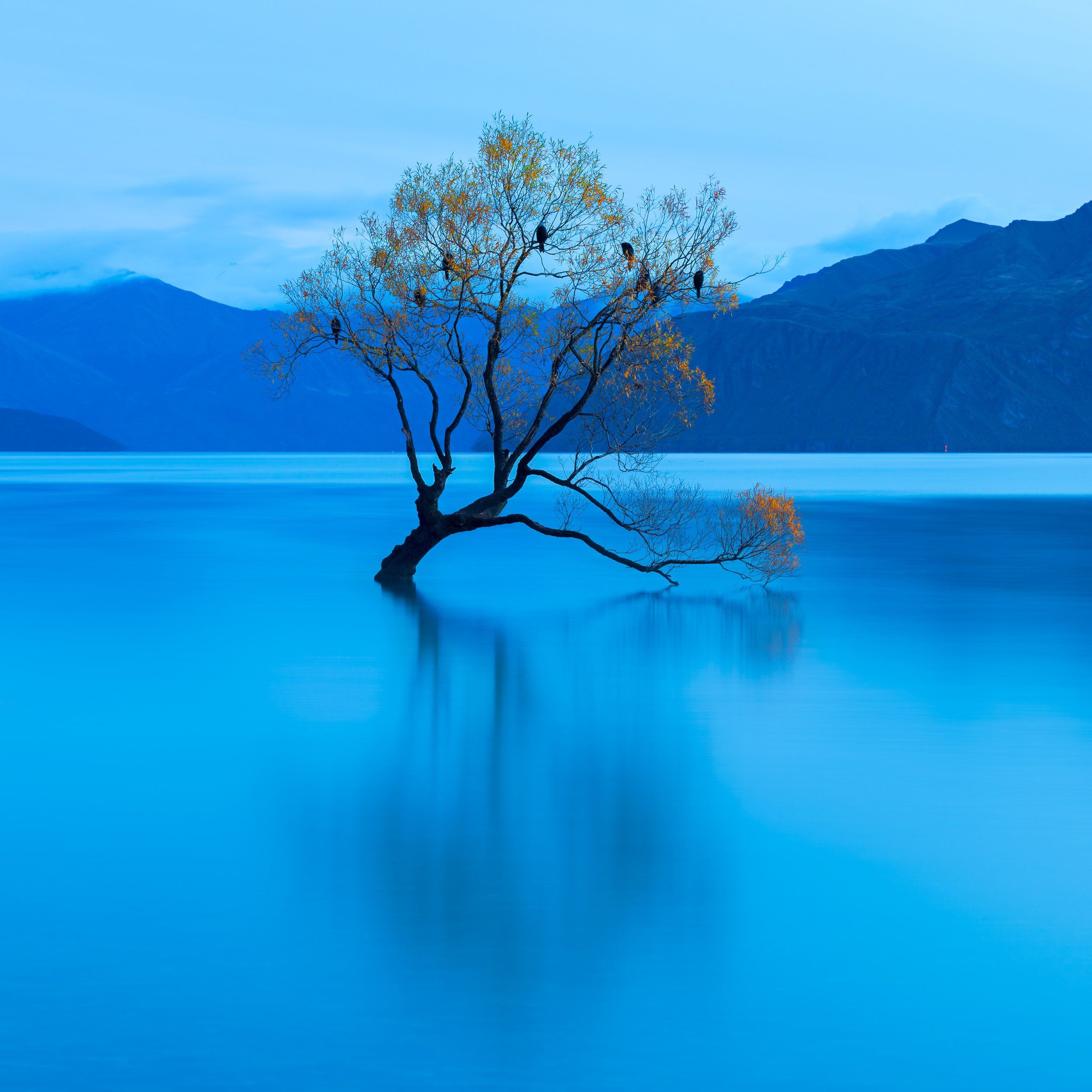 Wanaka Wallpapers - Top Free Wanaka Backgrounds - WallpaperAccess