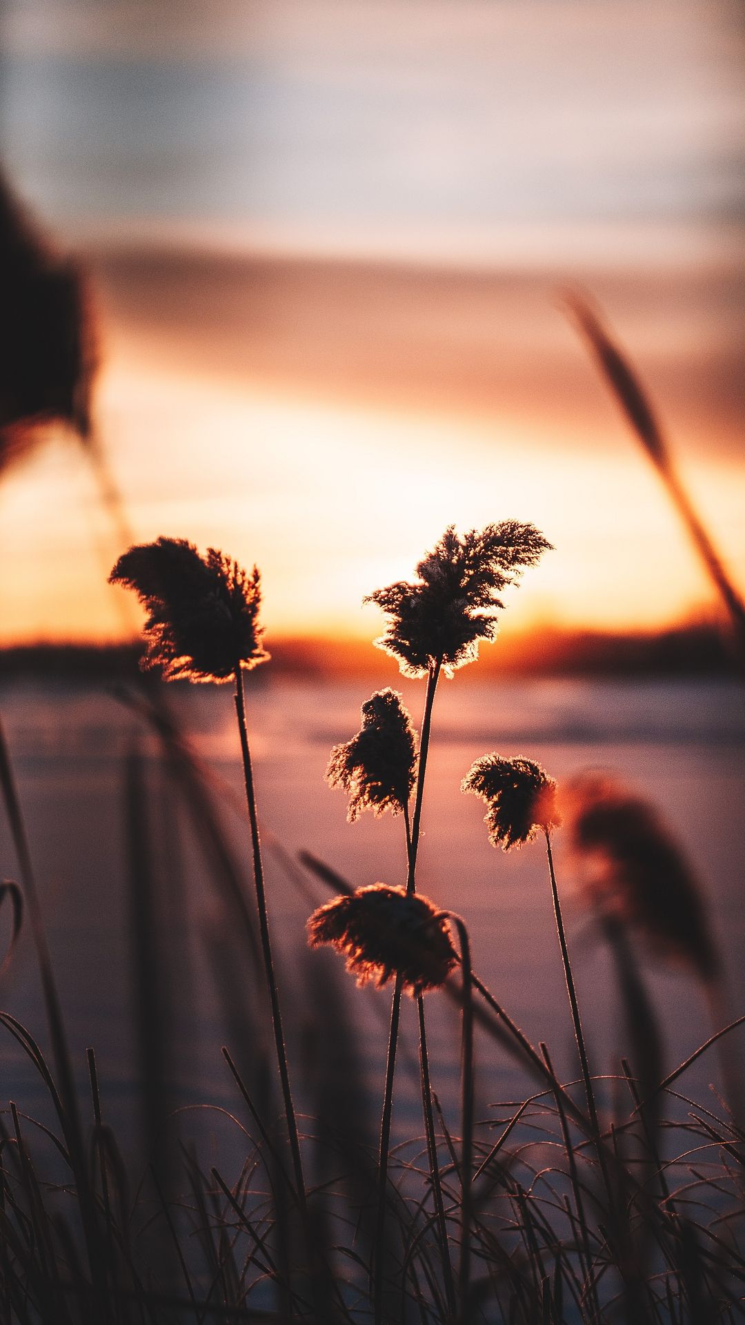 Ignore Wallpapers - Top Free Ignore Backgrounds - WallpaperAccess