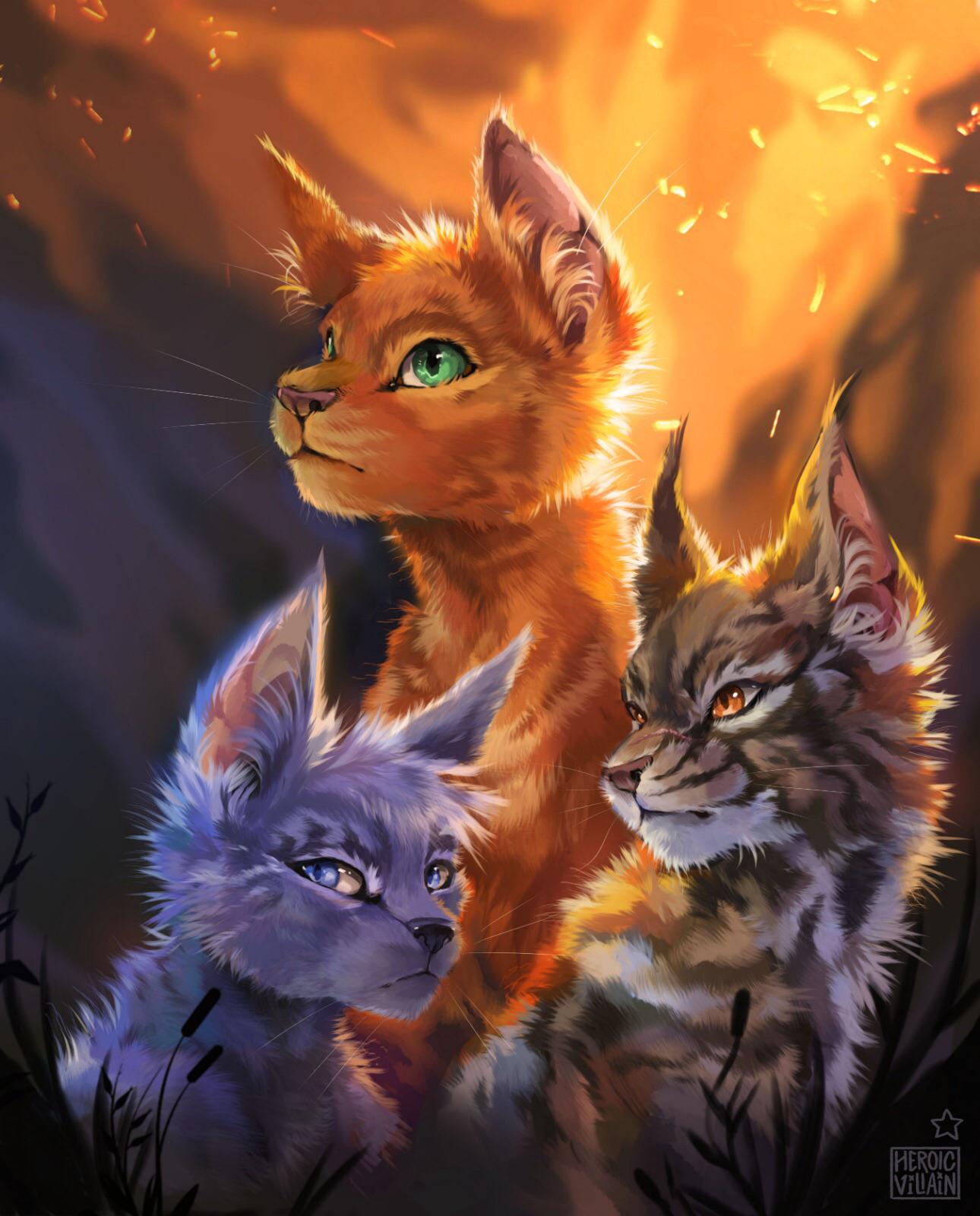 FireStar Wallpapers - Top Free FireStar Backgrounds - WallpaperAccess