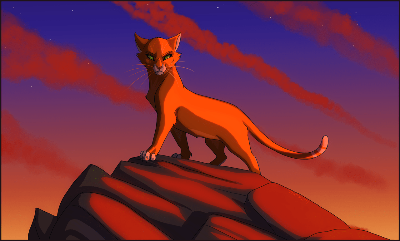 FireStar Wallpapers - Top Free FireStar Backgrounds - WallpaperAccess