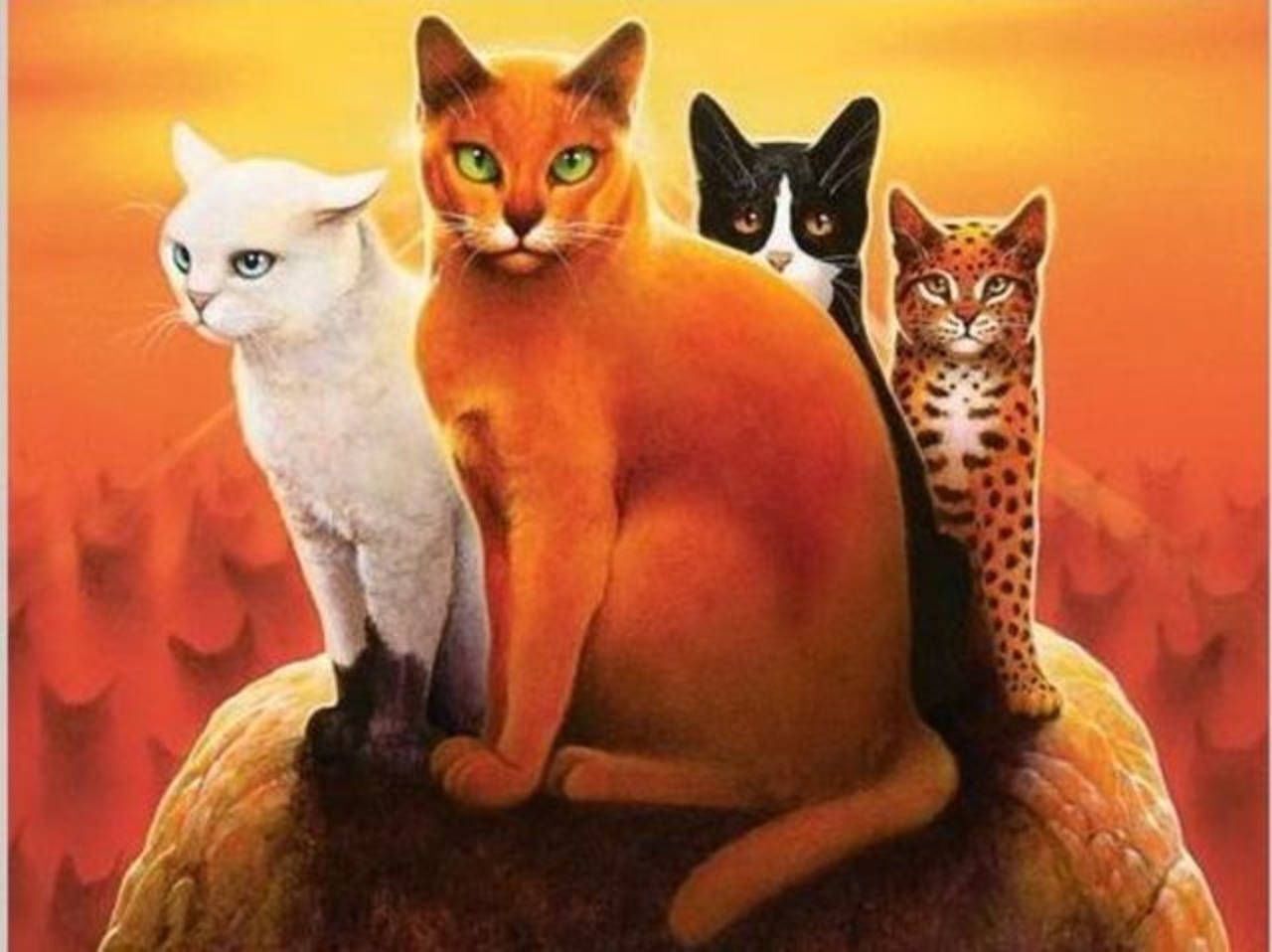 FireStar Wallpapers - Top Free FireStar Backgrounds - WallpaperAccess