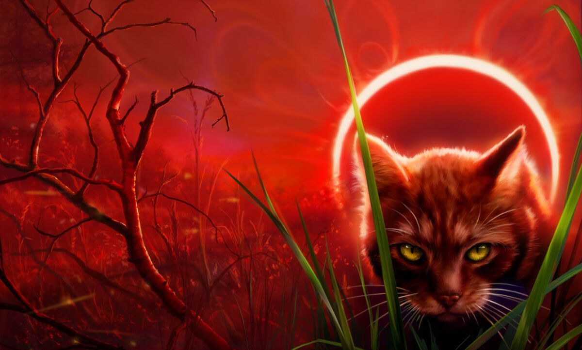 FireStar Wallpapers - Top Free FireStar Backgrounds - WallpaperAccess