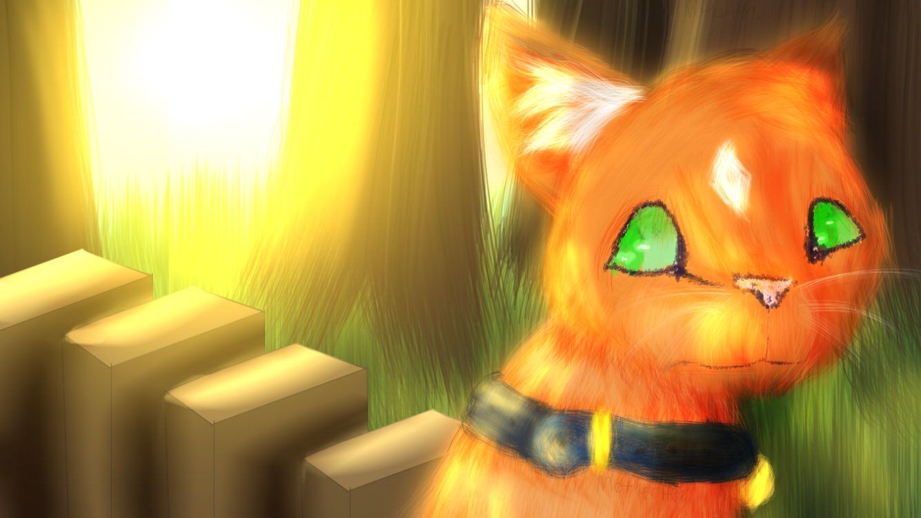 FireStar Wallpapers - Top Free FireStar Backgrounds - WallpaperAccess