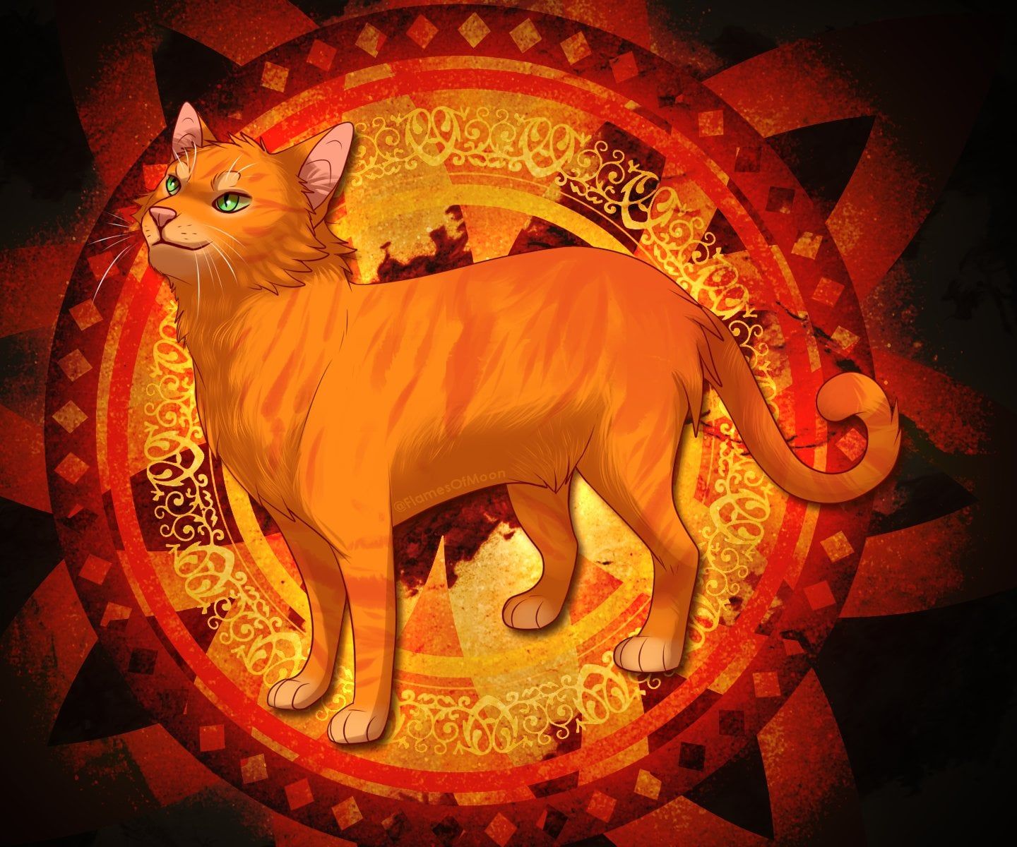 FireStar Wallpapers - Top Free FireStar Backgrounds - WallpaperAccess