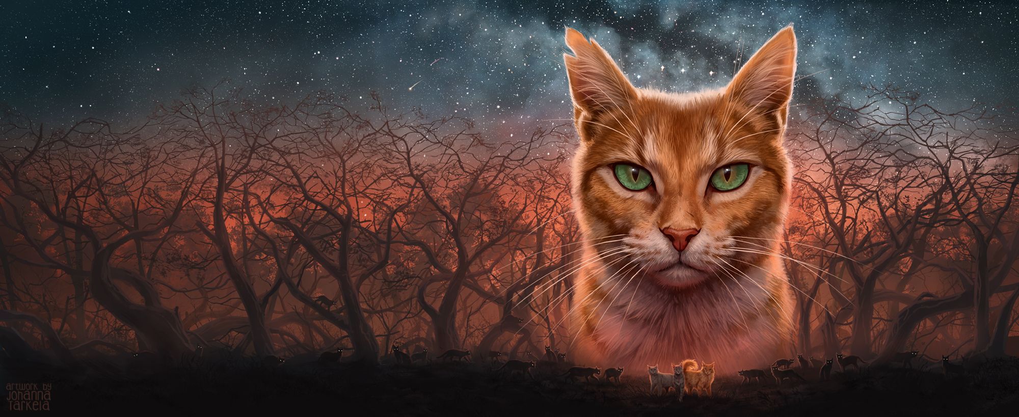 FireStar Wallpapers - Top Free FireStar Backgrounds - WallpaperAccess