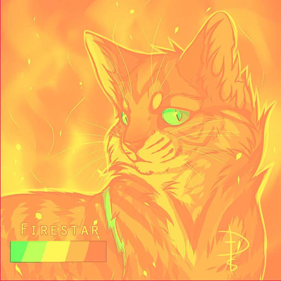 FireStar Wallpapers - Top Free FireStar Backgrounds - WallpaperAccess