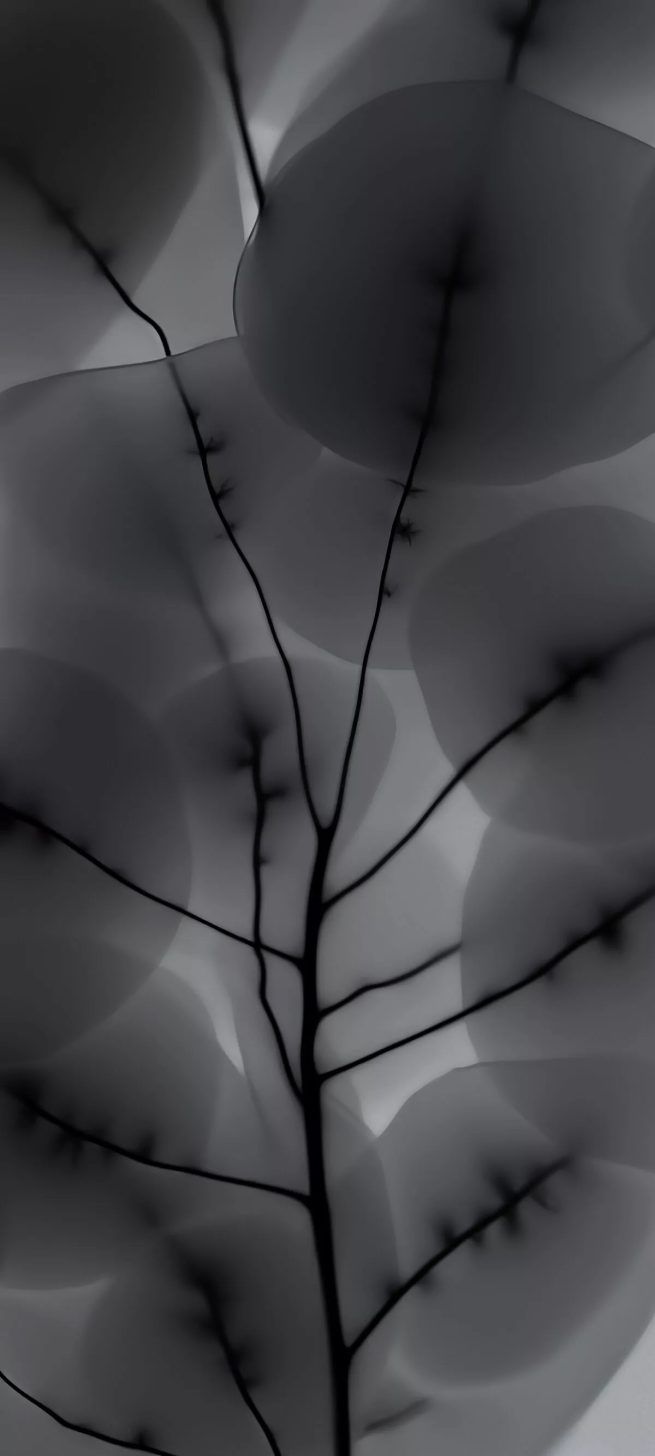 Nothing Phone 2 Wallpapers - Top Free Nothing Phone 2 Backgrounds ...