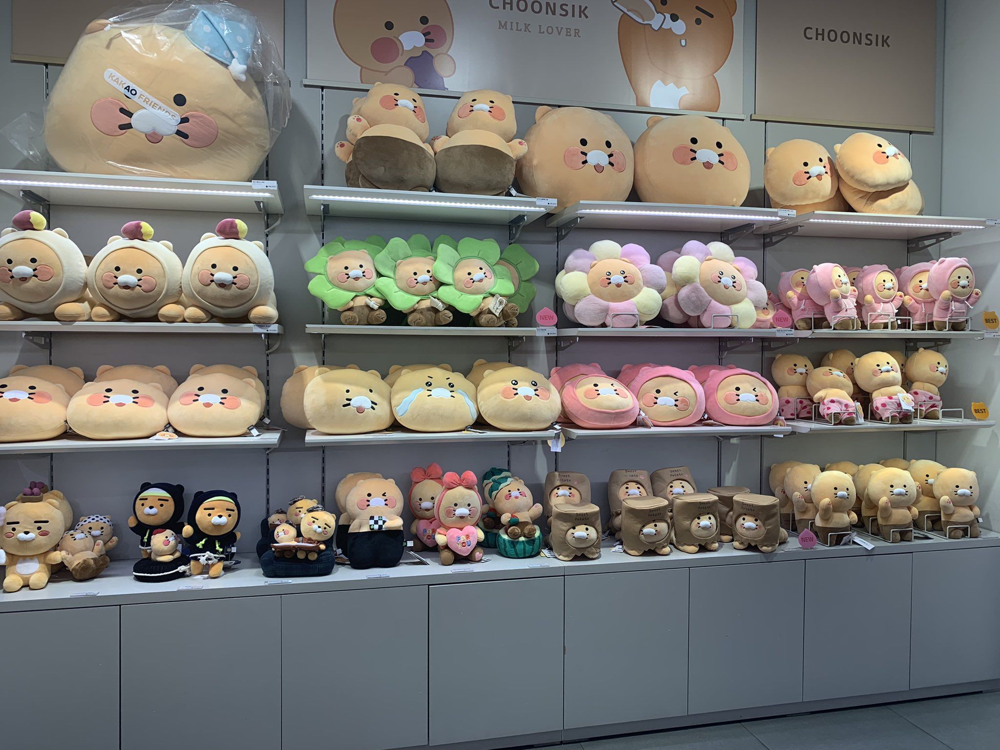 Choonsik Wallpapers - Top Free Choonsik Backgrounds - WallpaperAccess