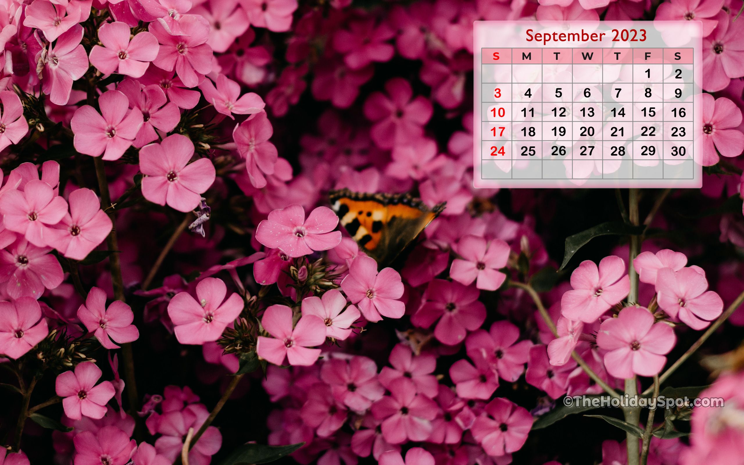 September 2023 Calendar Wallpapers - Top Free September 2023 Calendar ...