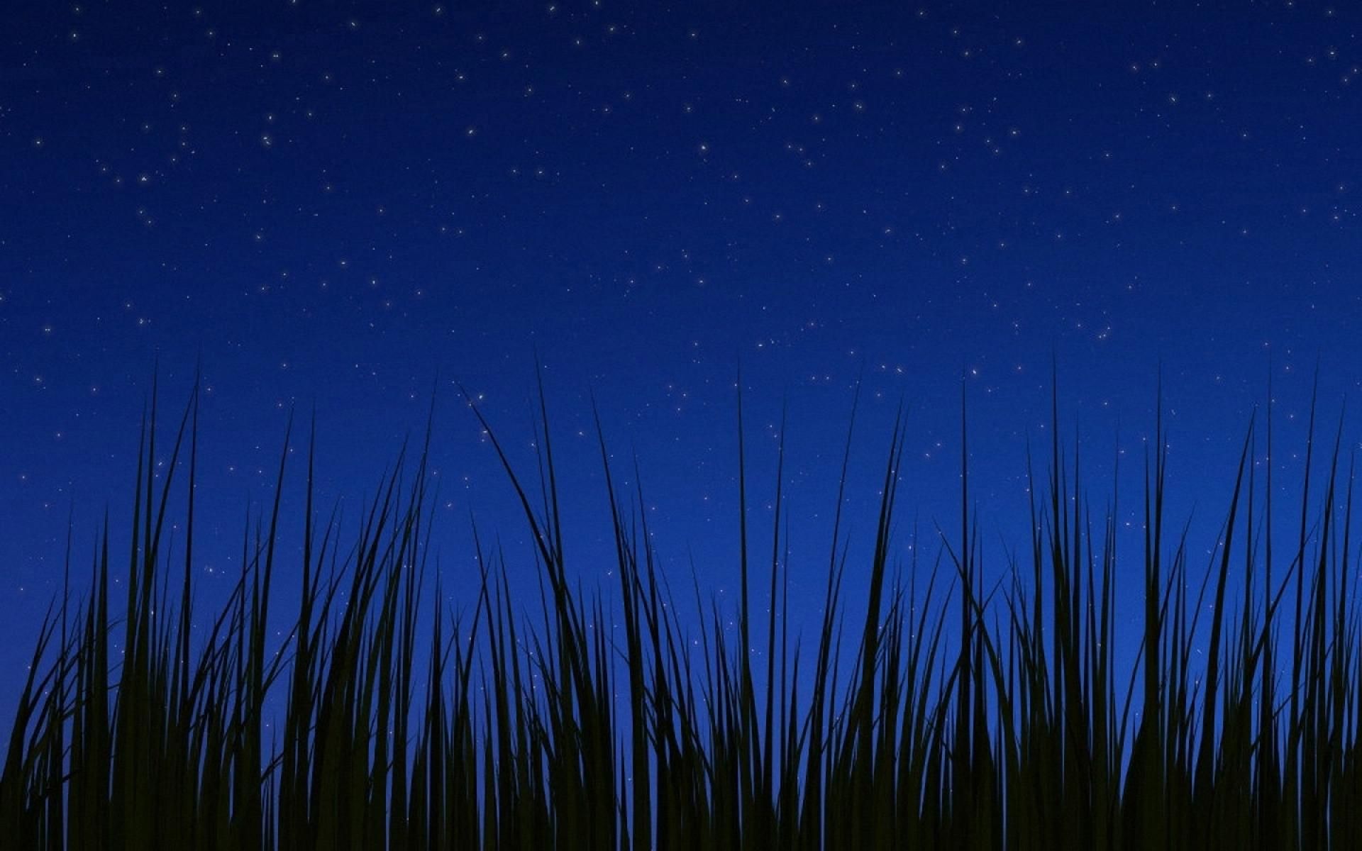 Night Grass Wallpapers - Top Free Night Grass Backgrounds - WallpaperAccess